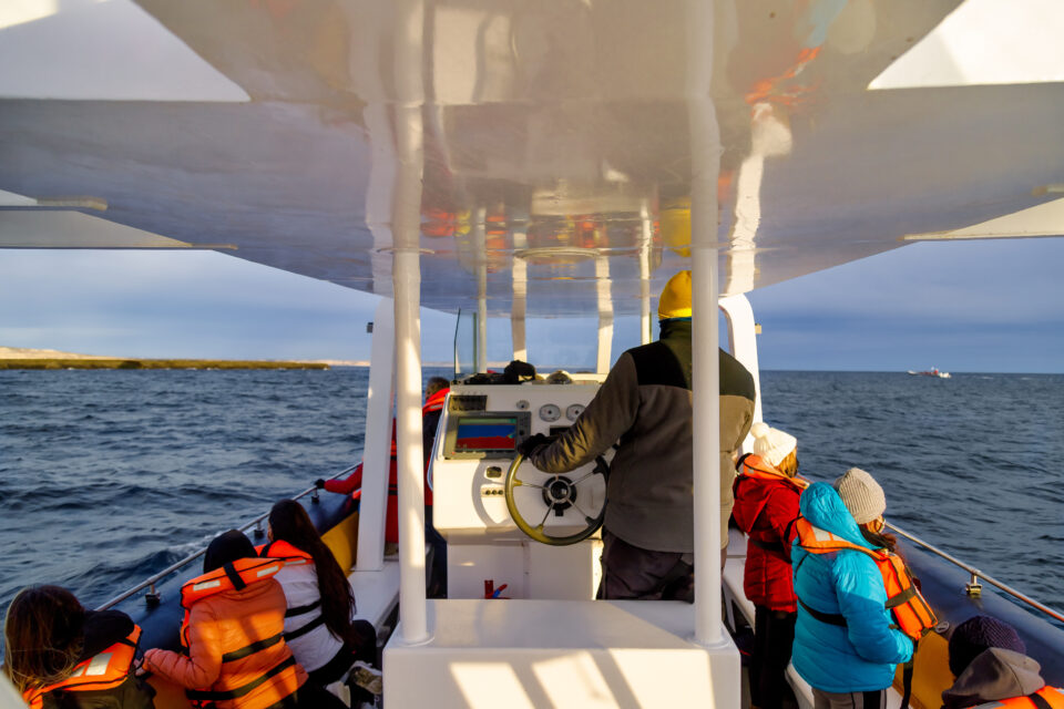 Ocean Alliance Canada | Advancing Ocean Research & Policy Collaboration