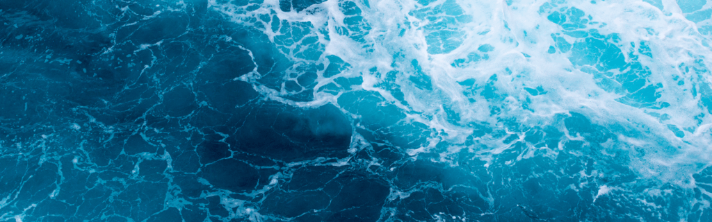 OAC Conference 2025: Shaping Canada’s Blue Economy