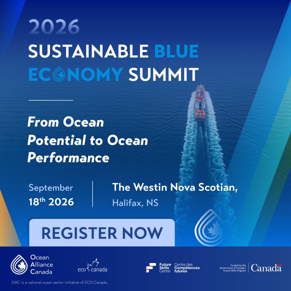 Ocean Alliance Canada | Advancing Ocean Research & Policy Collaboration